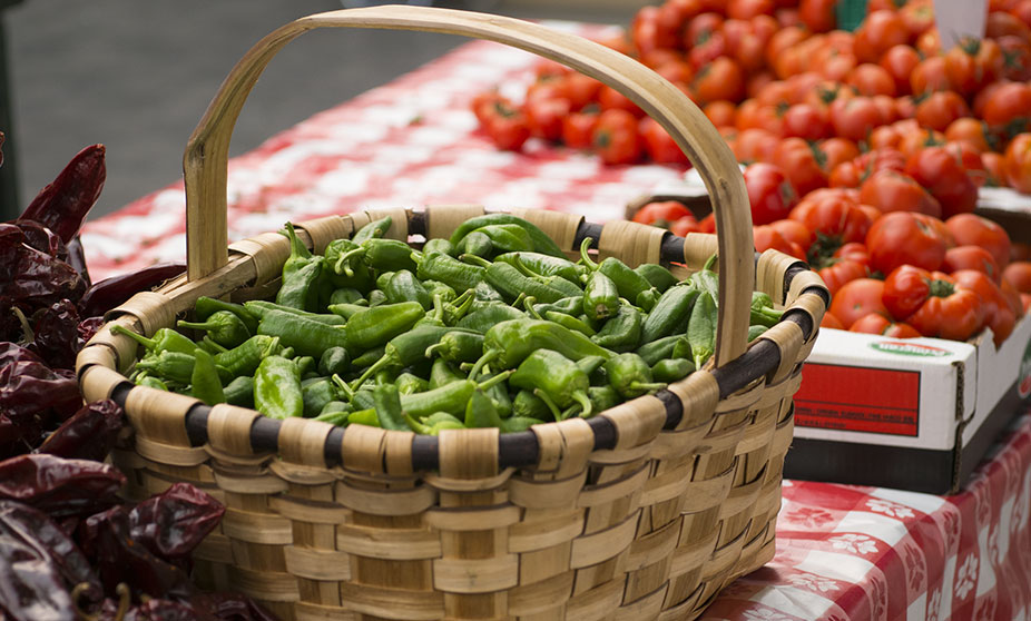 Guernica Tourism – Things to do in Guernica