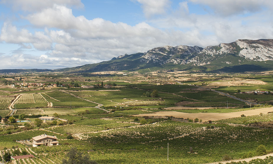 Laguardia, Rioja Alavesa | Guía de Turismo del País Vasco